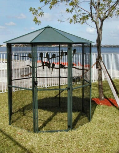 Custom Aviaries & Bird Cages – CAGEMASTERS