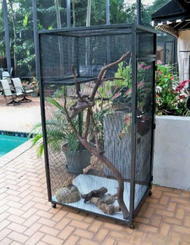 Custom Reptile Cages – CAGEMASTERS